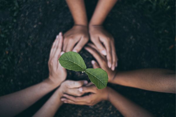 50 Powerful Sustainability Quotes To Inspire Eco Friendly Living