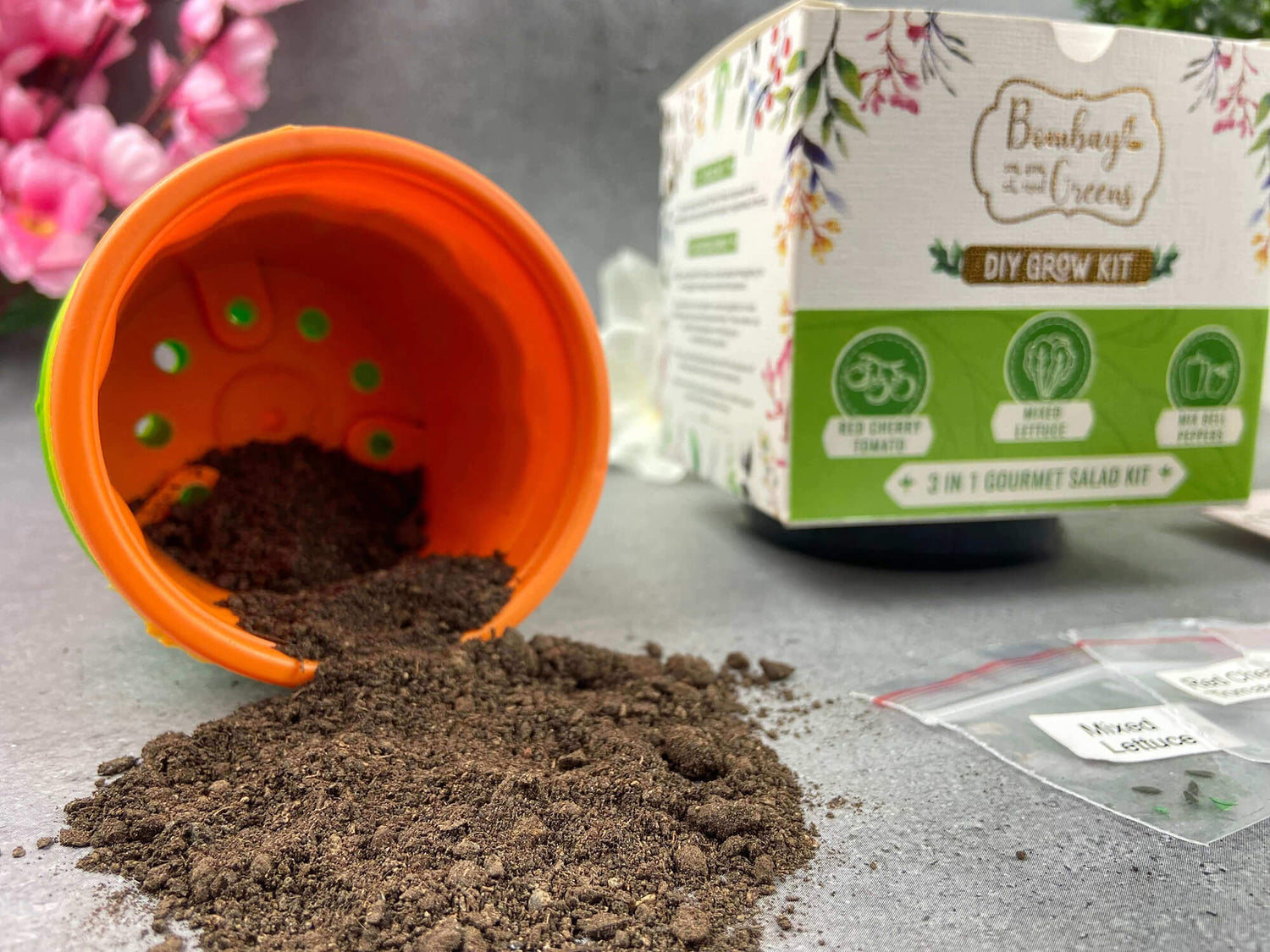 DIY Gardening Kit | 3 in 1 DIY Gardening Kits | Bombay Greens