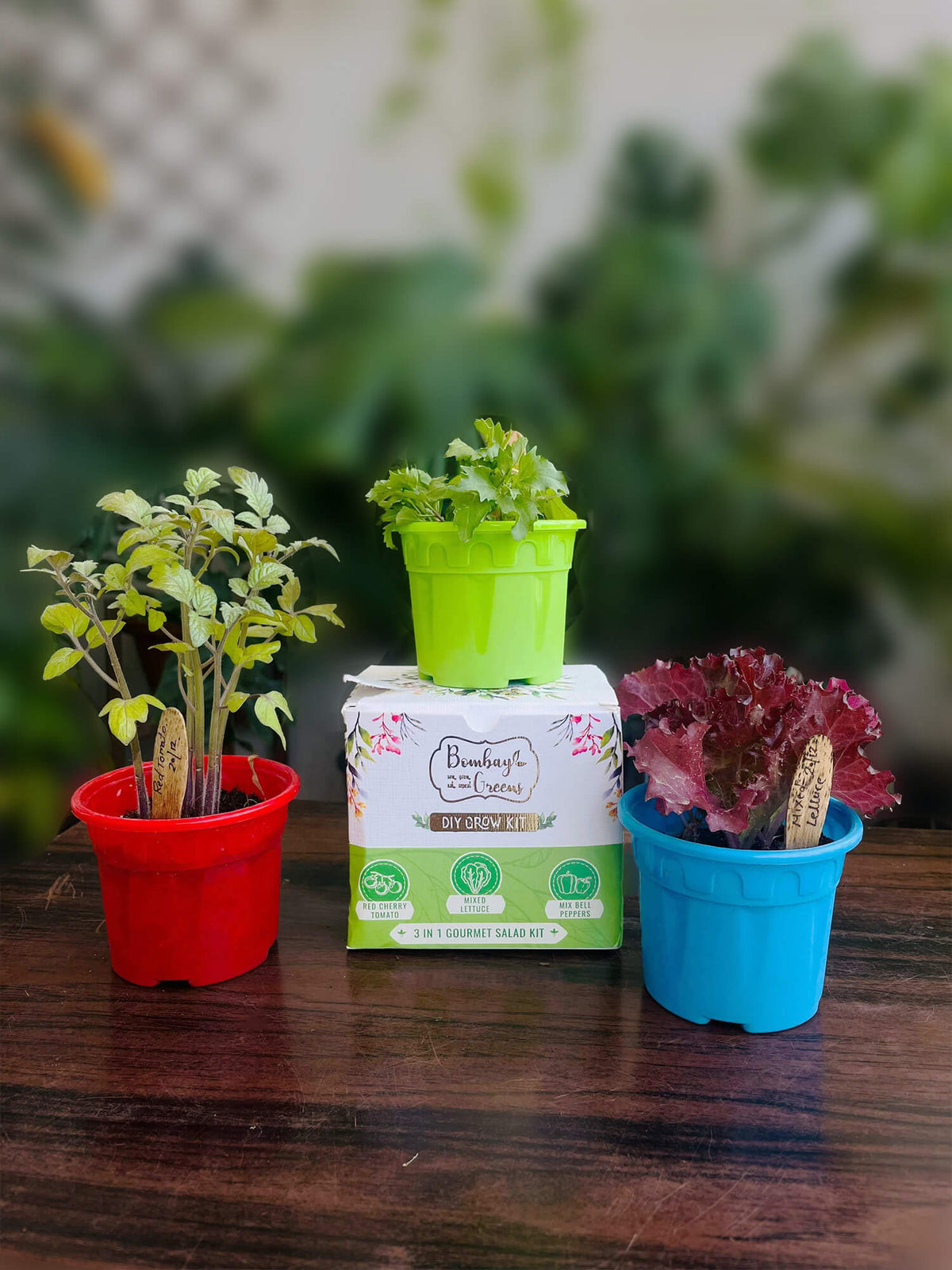 DIY Gardening Kit | 3 in 1 DIY Gardening Kits | Bombay Greens