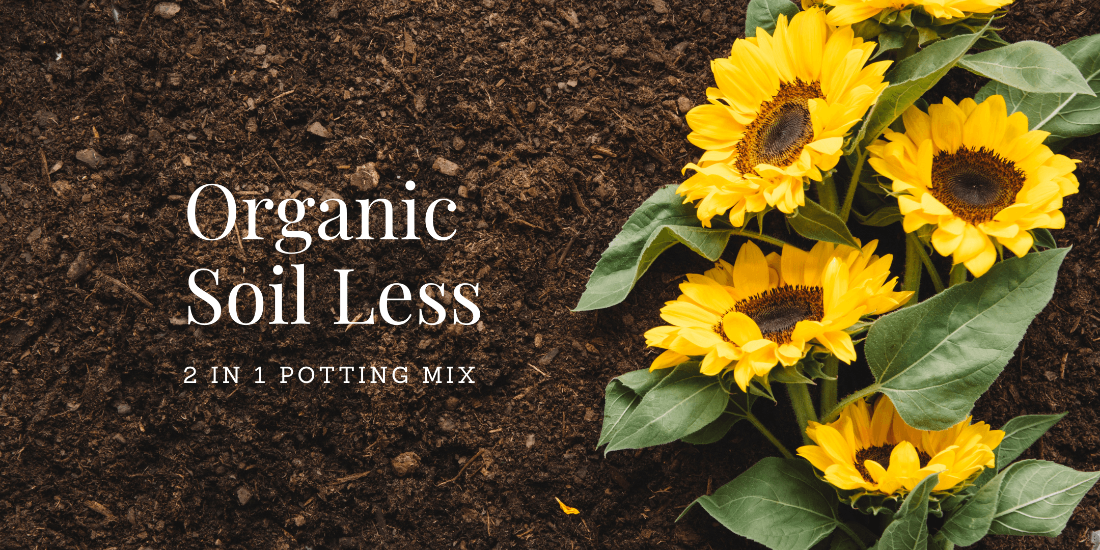 Soil Less Potting mix [2 in 1] - Cocopeat Fertilizer Online