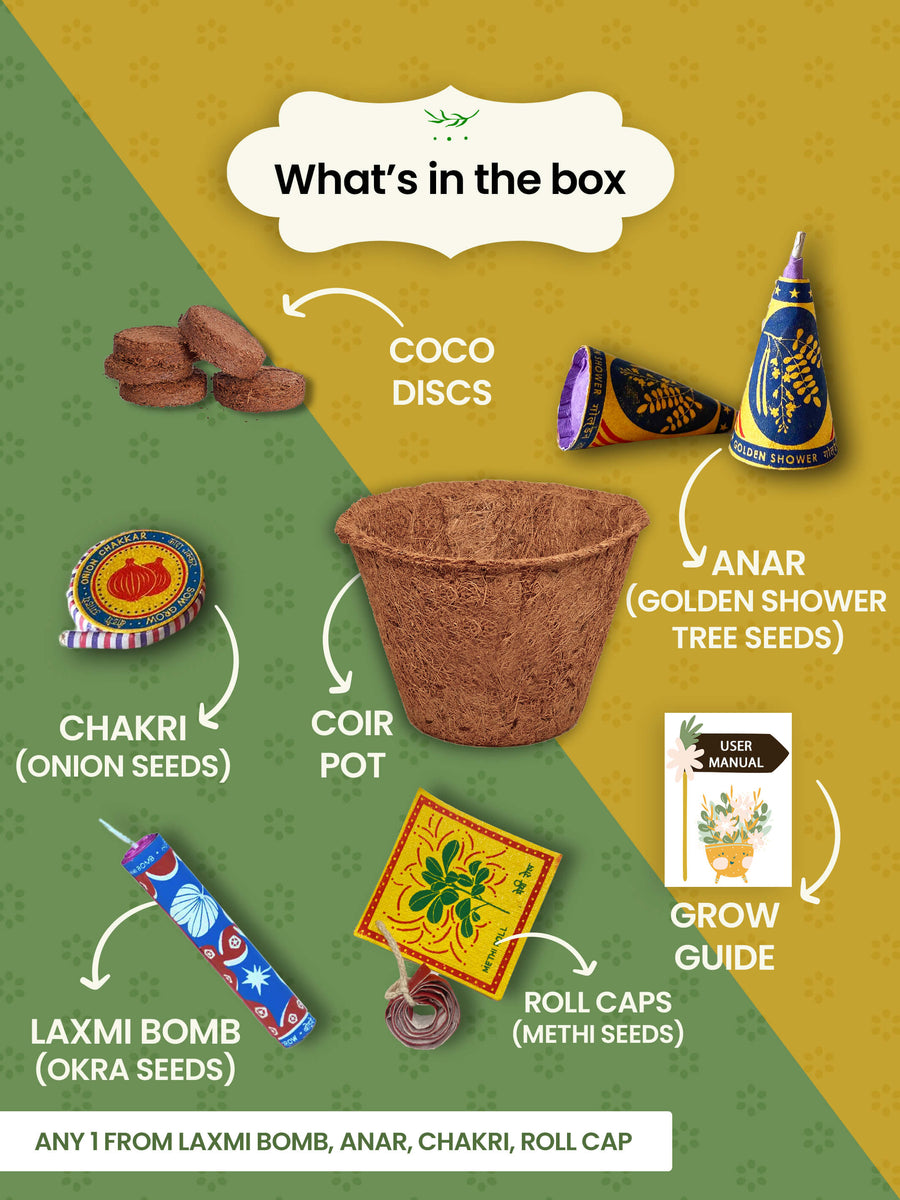 Buy Diwai Plantable Beej Patakha Grow Kit Hamper