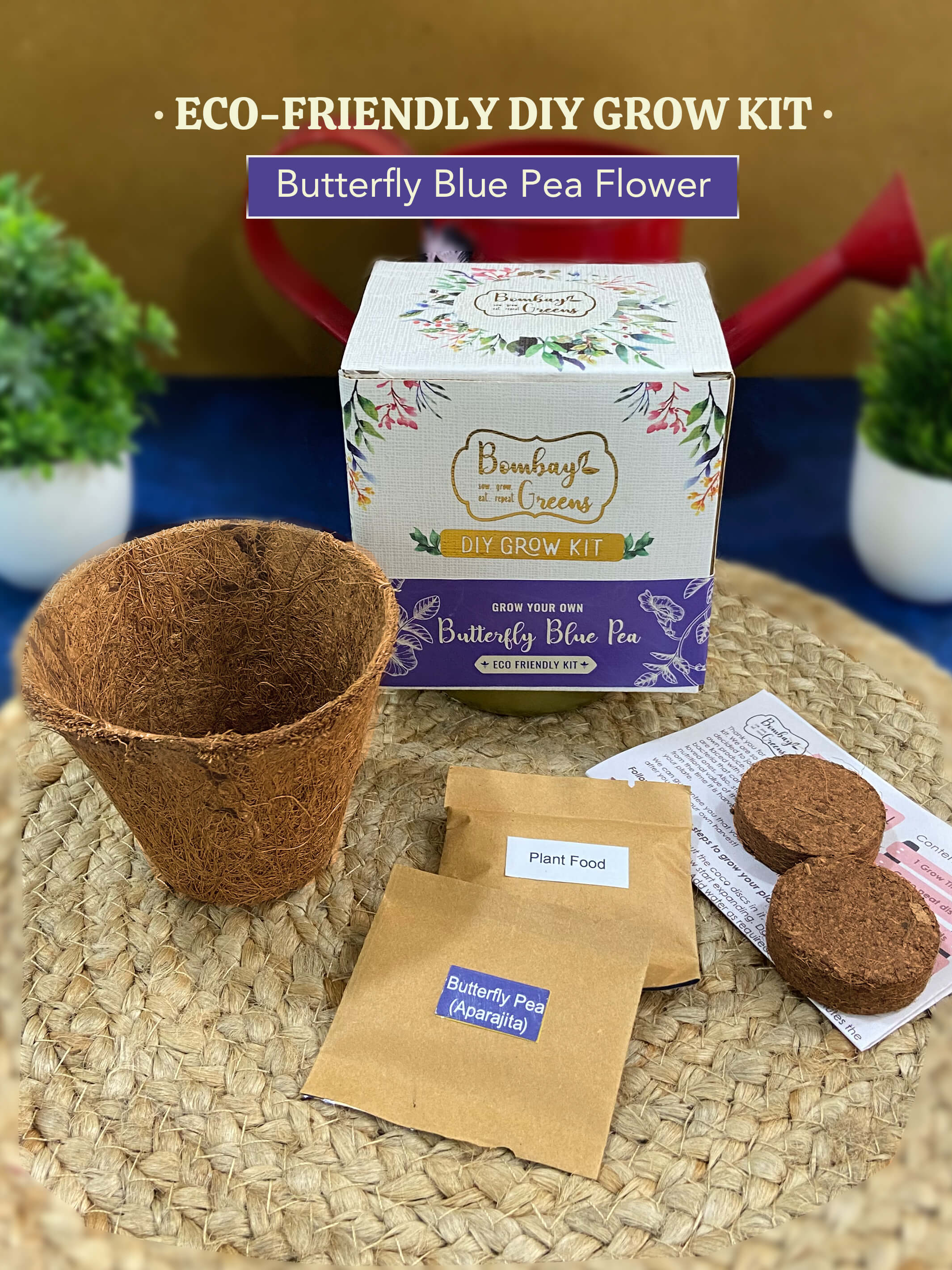 Buy Butterfly Pea Plant Grow Kit | Bombay Greens