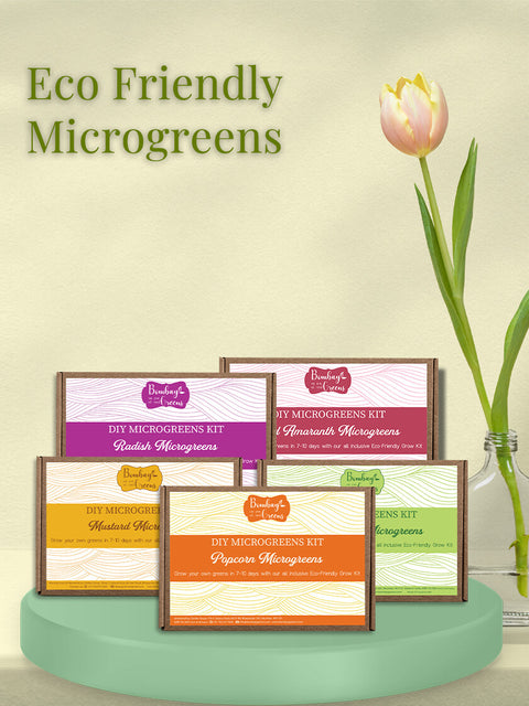 DIY Gardening Kit | 3 in 1 DIY Gardening Kits | Bombay Greens