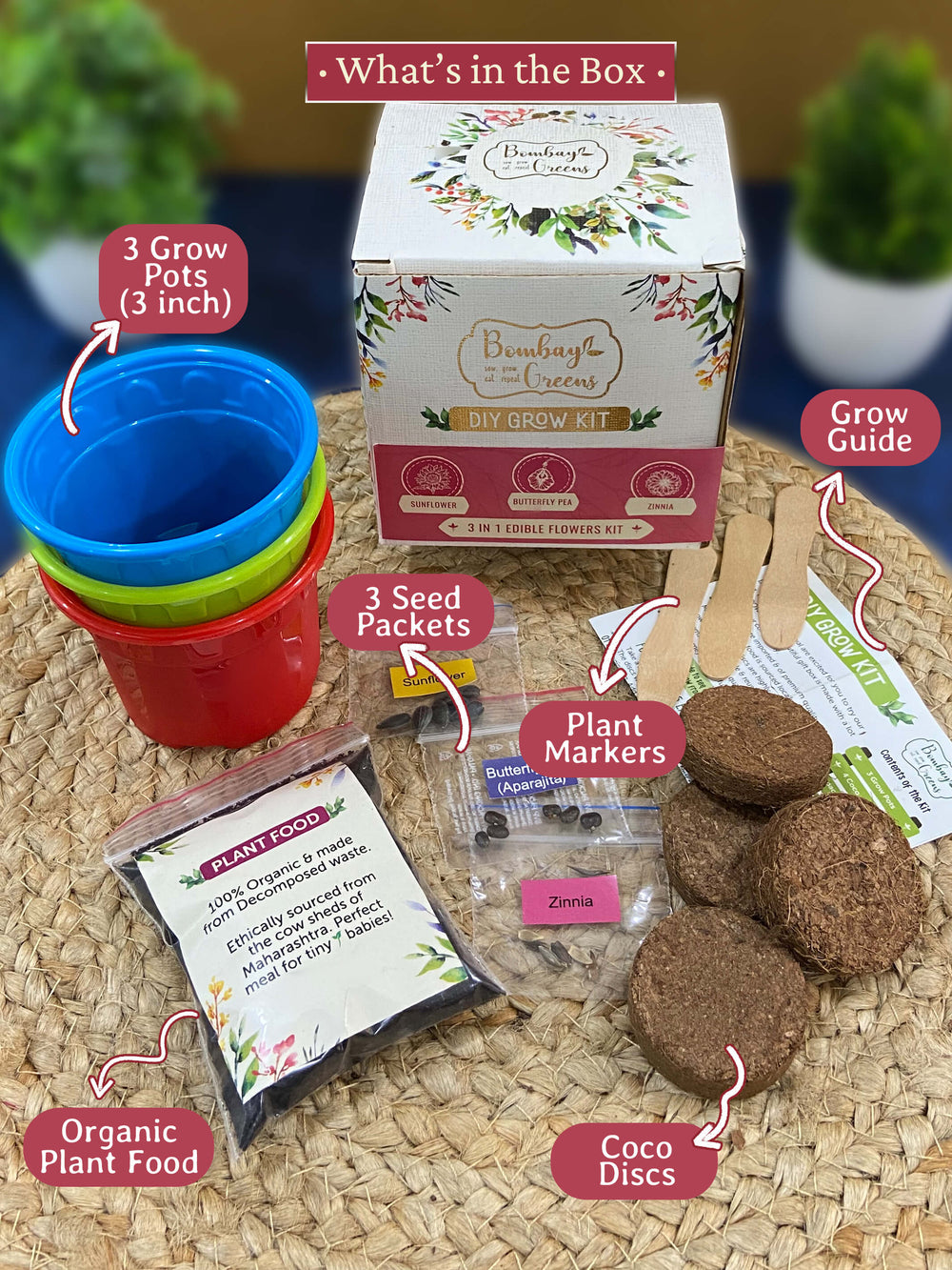 Edible Flower Growing Kit - Buy Edible Flowers Online India