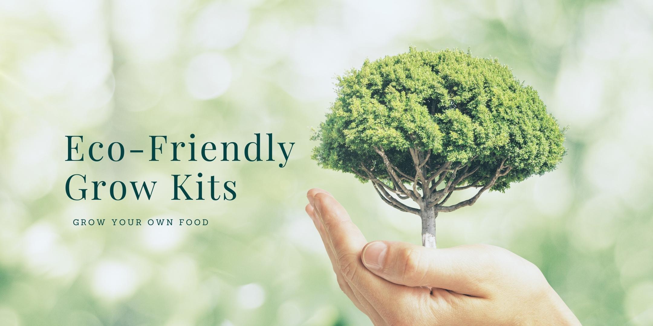 Eco-Friendly Plant Grow Kits - Buy Plant Growing Kit | Bombay Greens