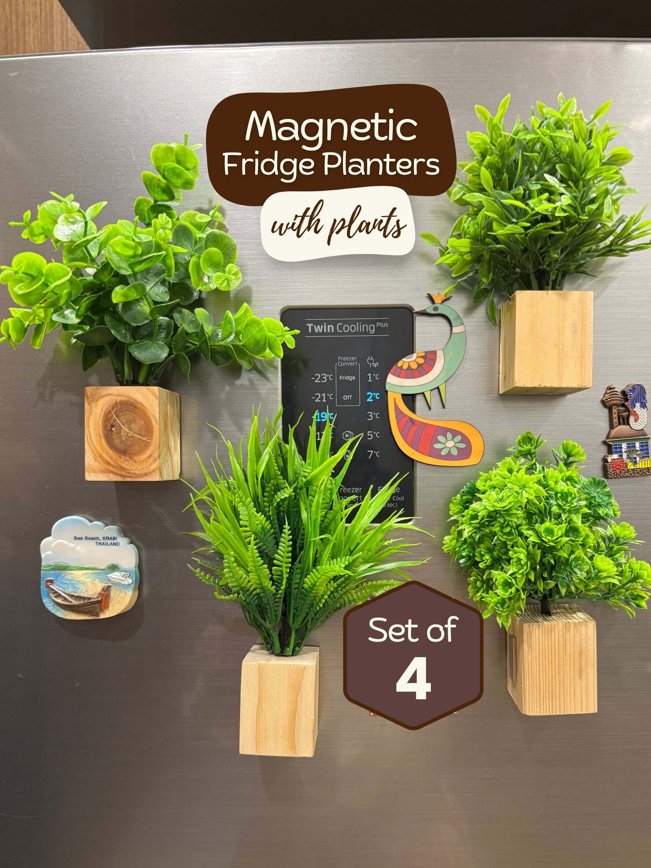 Buy Wooden Magnetic Fridge Planter & Pots | Bombay Green