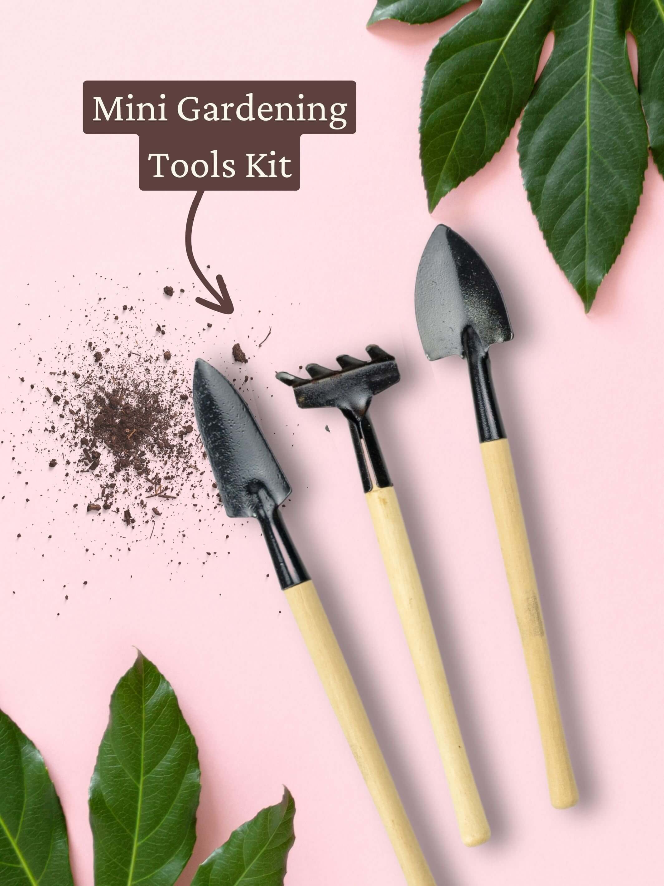 Mini Gardening Tools - Gardening Tool Kit Online in India at Bombay Greens
