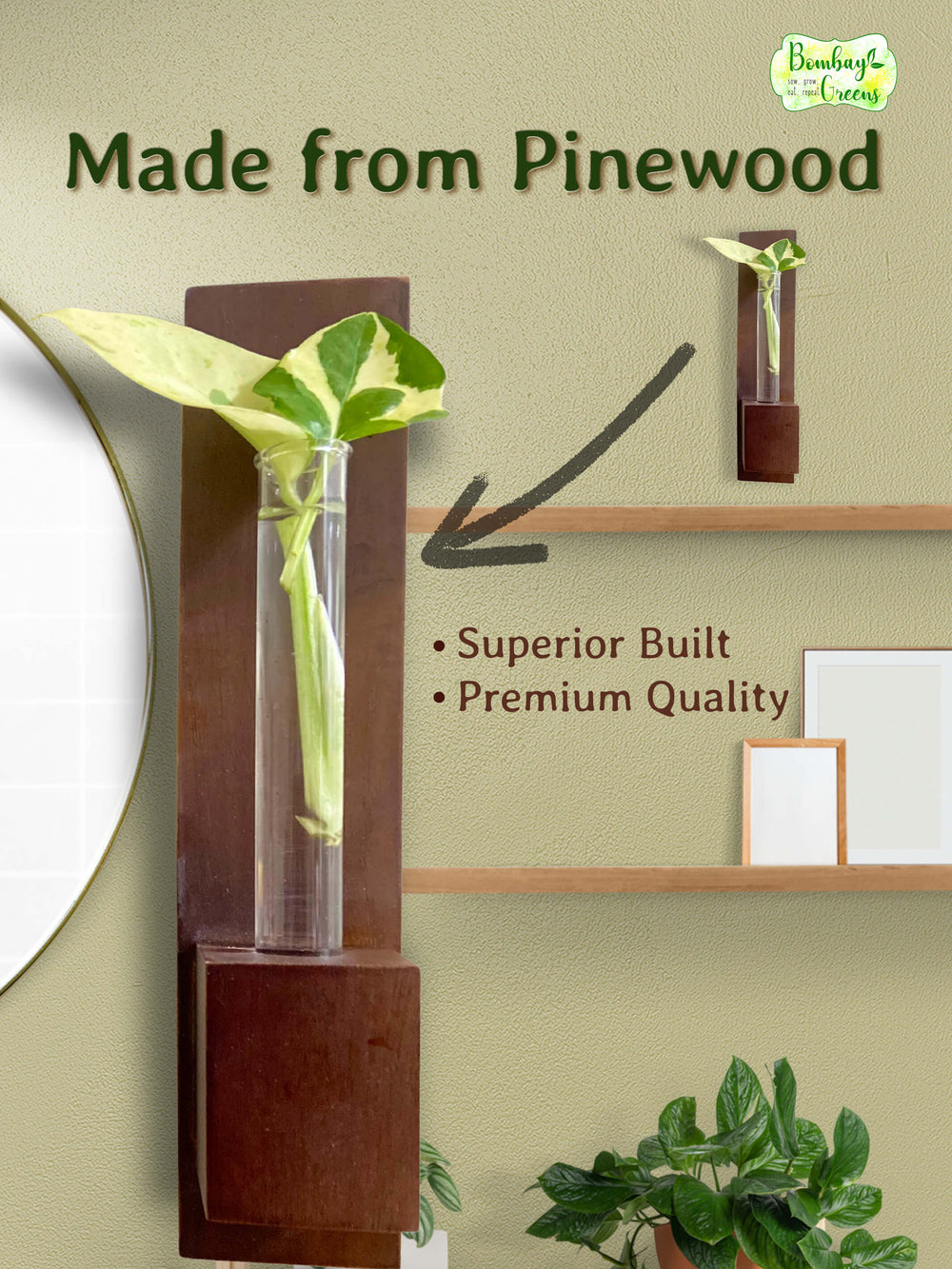 Buy Test Tube Wall Planter with Wooden Holder Online | Bombay Greens