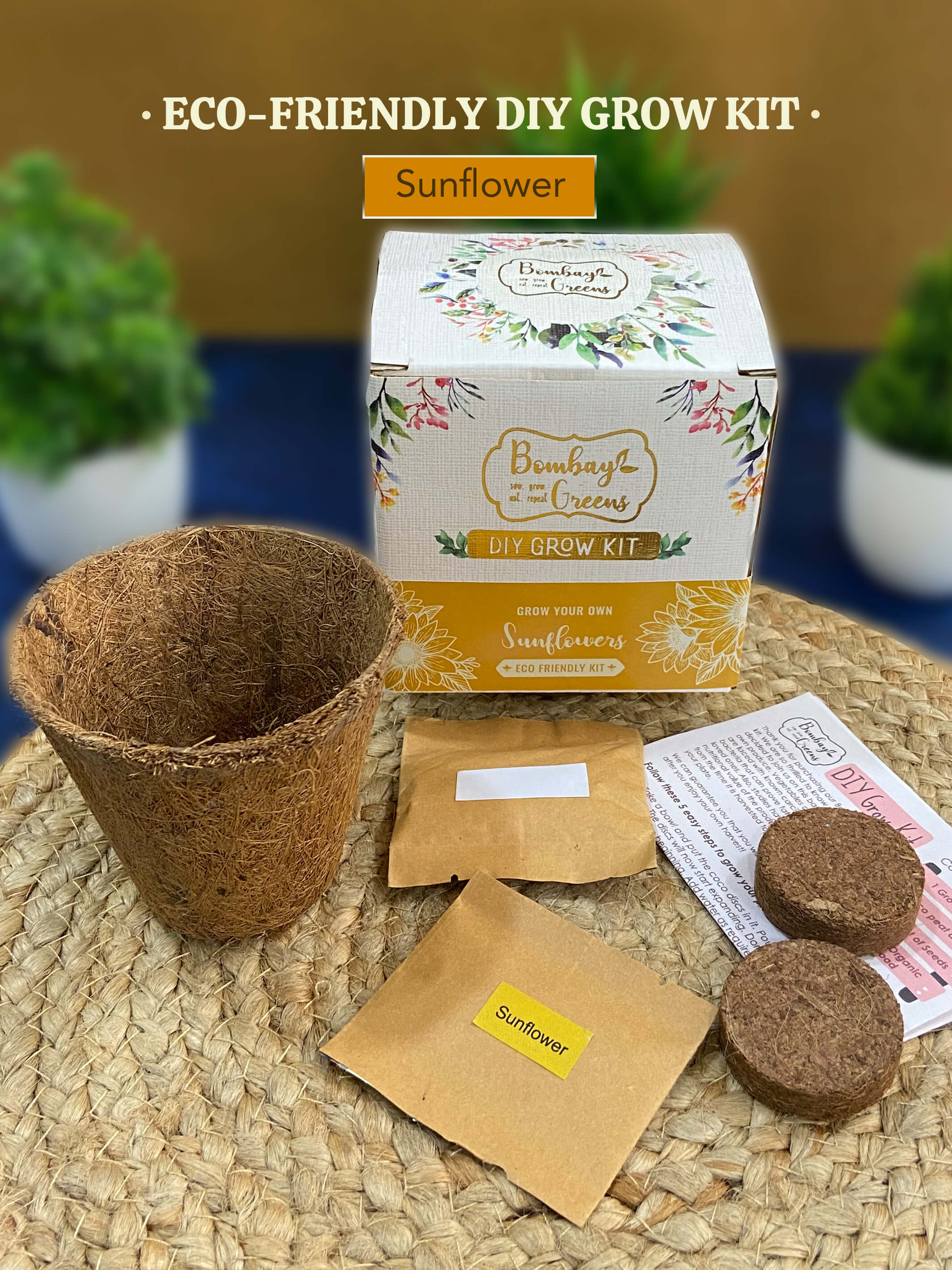 Sunflower Grow Kit - Buy Sunflower Growing Kit Online in India