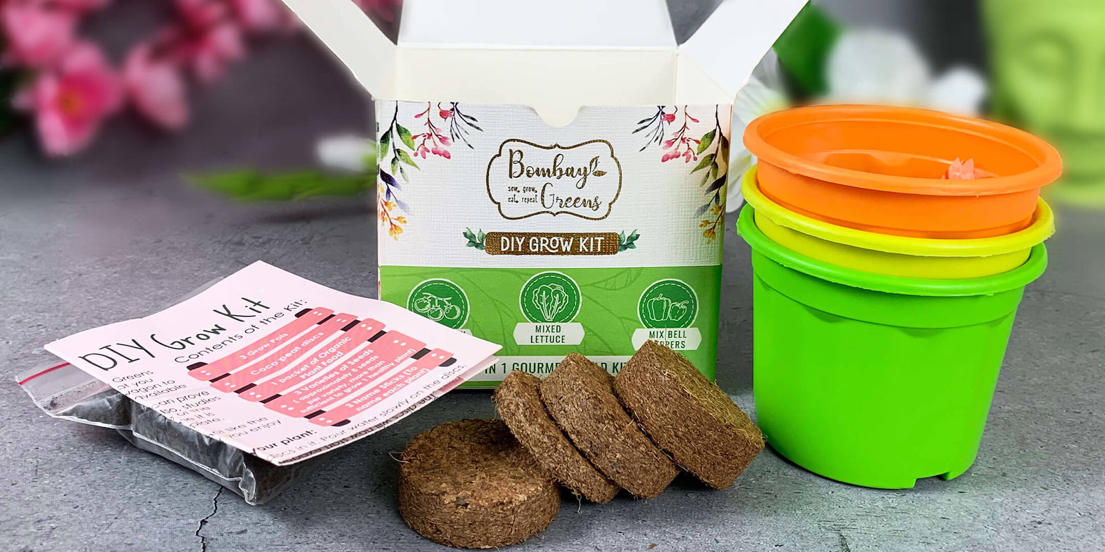 DIY Gardening Kit | Planting Kits for Terrace Gardening | Bombay Greens