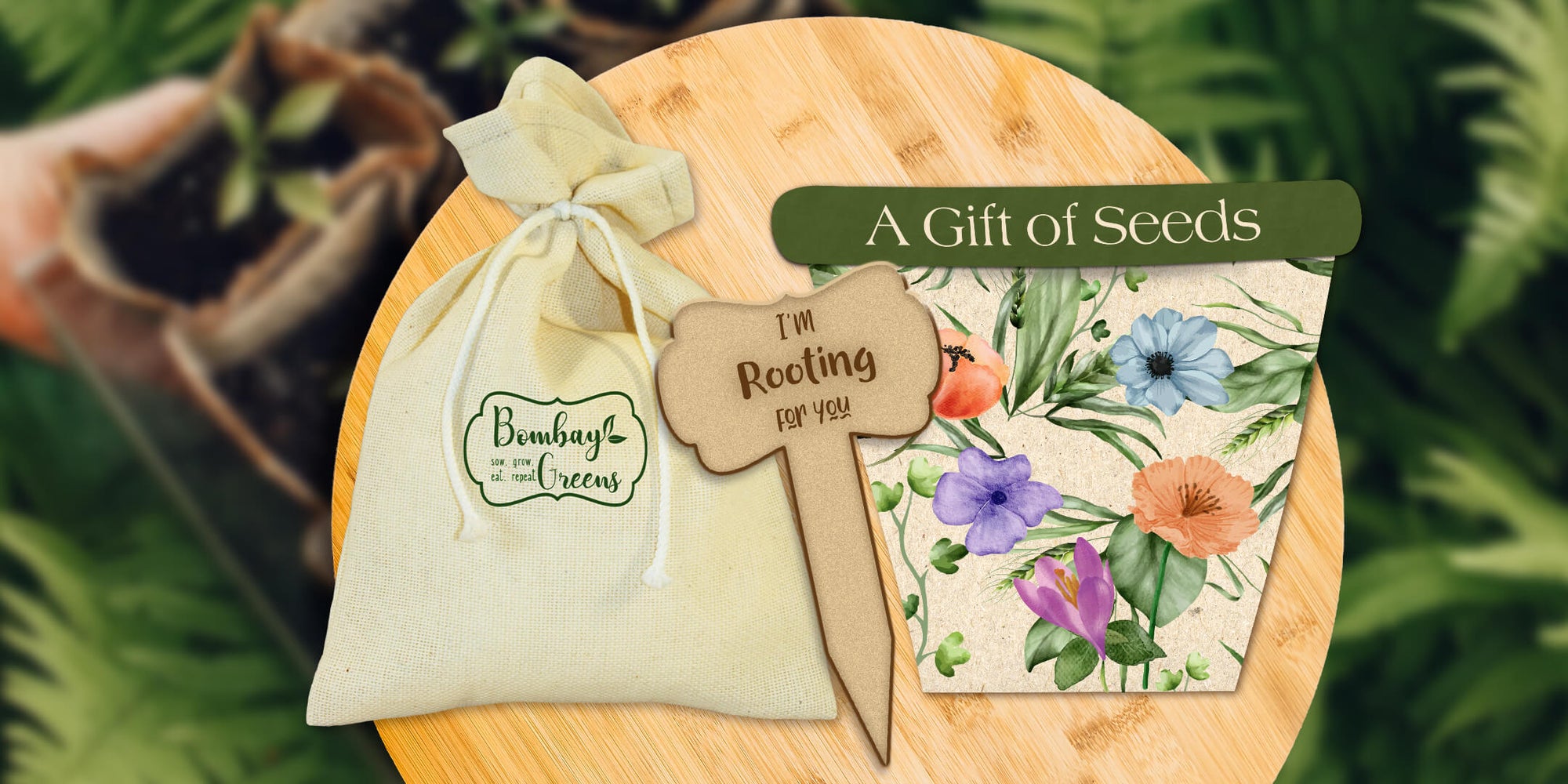 Seed Kit - Buy Plant Seeds Online at Best Price | Bombay Greens