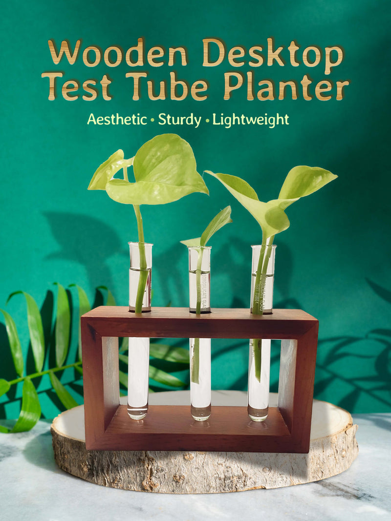 Test Tube Plant Holder - Buy Wooden Test Tube Planter Online in India