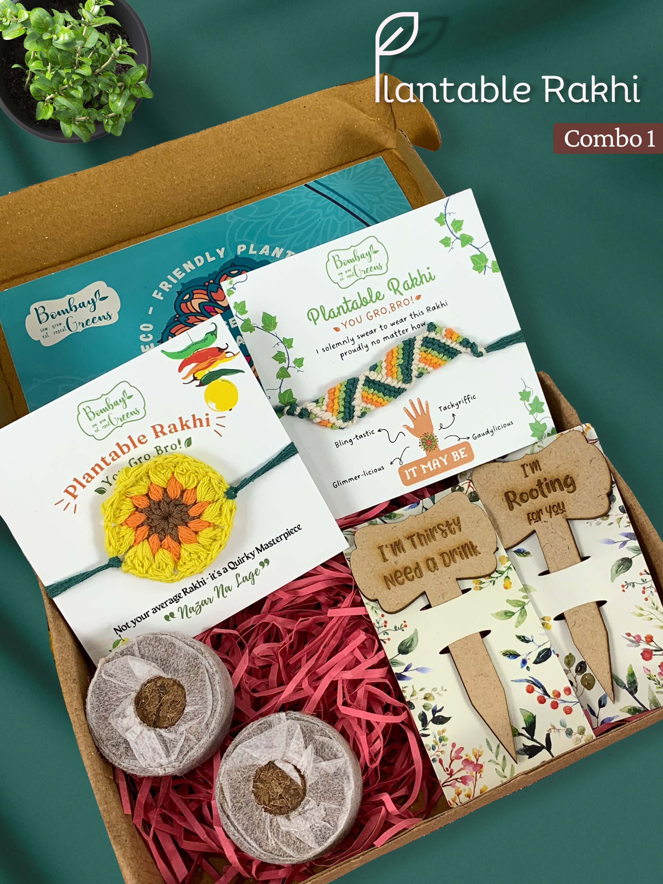 Yellow Blossom & Zig Zag Plantable Rakhi Gift Kit Online in India