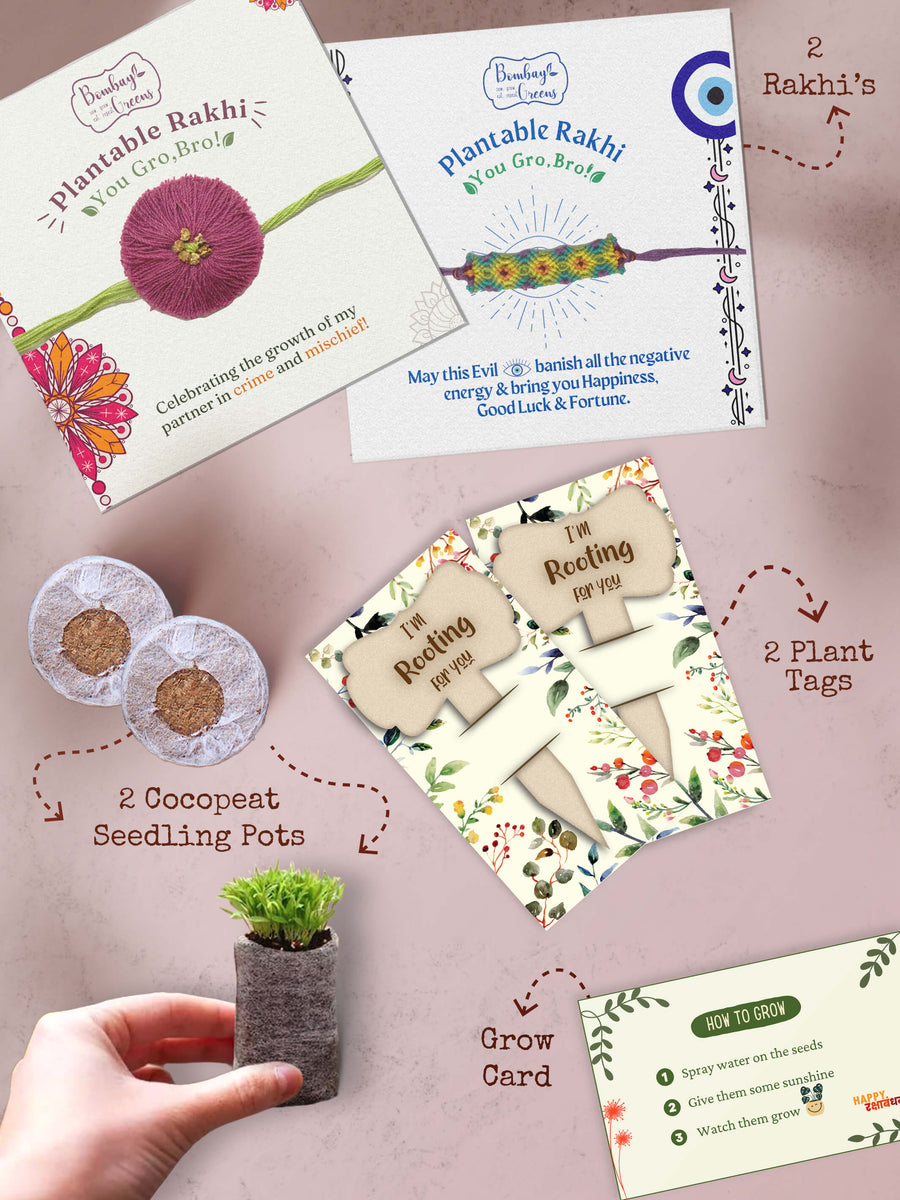 Eco-Friendly & Sustainable Plantable Rakhi Gifts Online in India