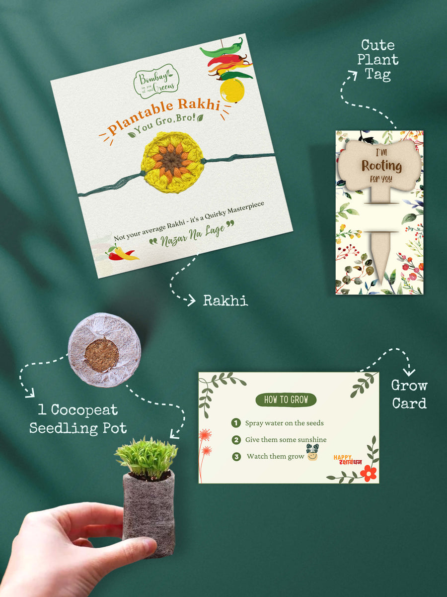 Yellow Blossom Plantable Rakhi Set Online in India