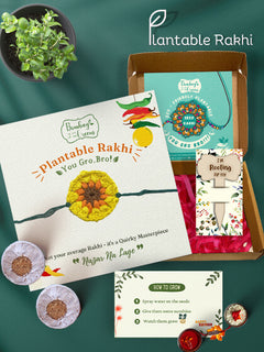 Eco-Friendly Diwali Gift Hampers - Plantable Seed Crackers