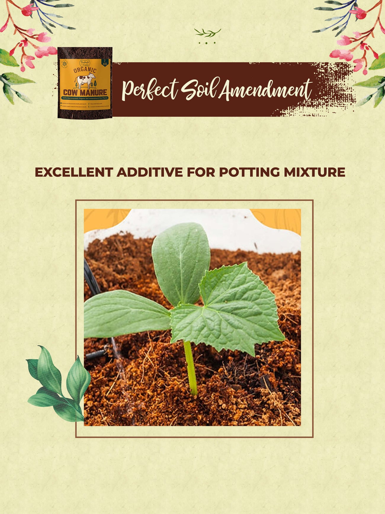 Buy 100% Organic Decomposed Cow Manure - 2 Kg | Bombay Greens