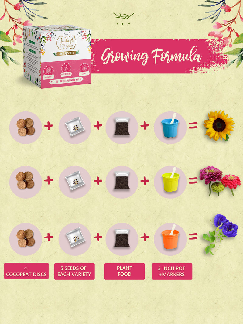 Edible Flower Growing Kit - Buy Edible Flowers Online India