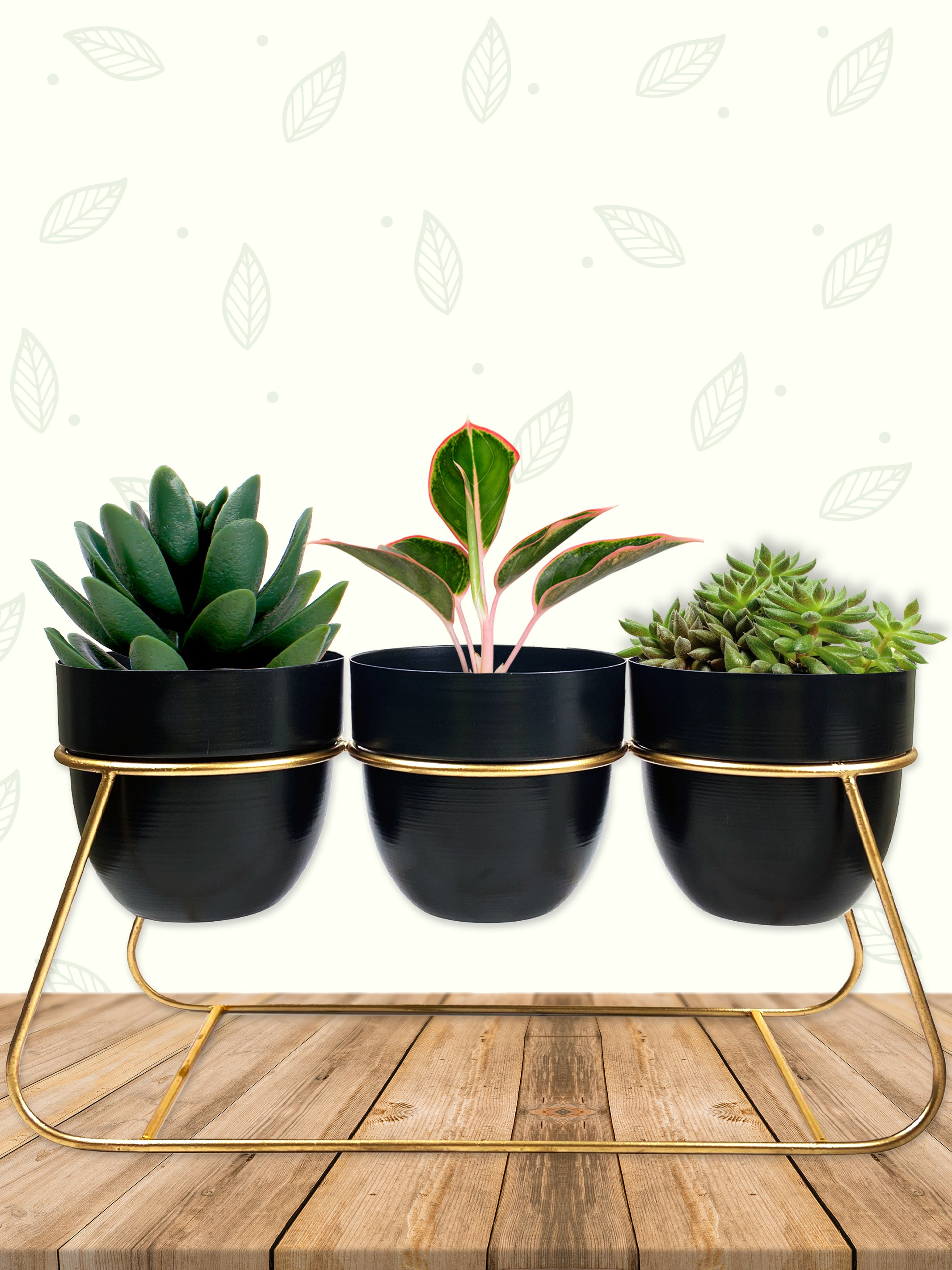 Trio Metal Pot - Black with Gold Stand