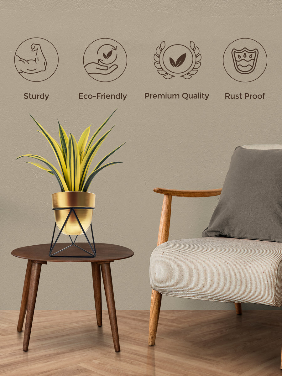 Buy Gold Metal Pot with Triangular Stand Online | Bombay Greens