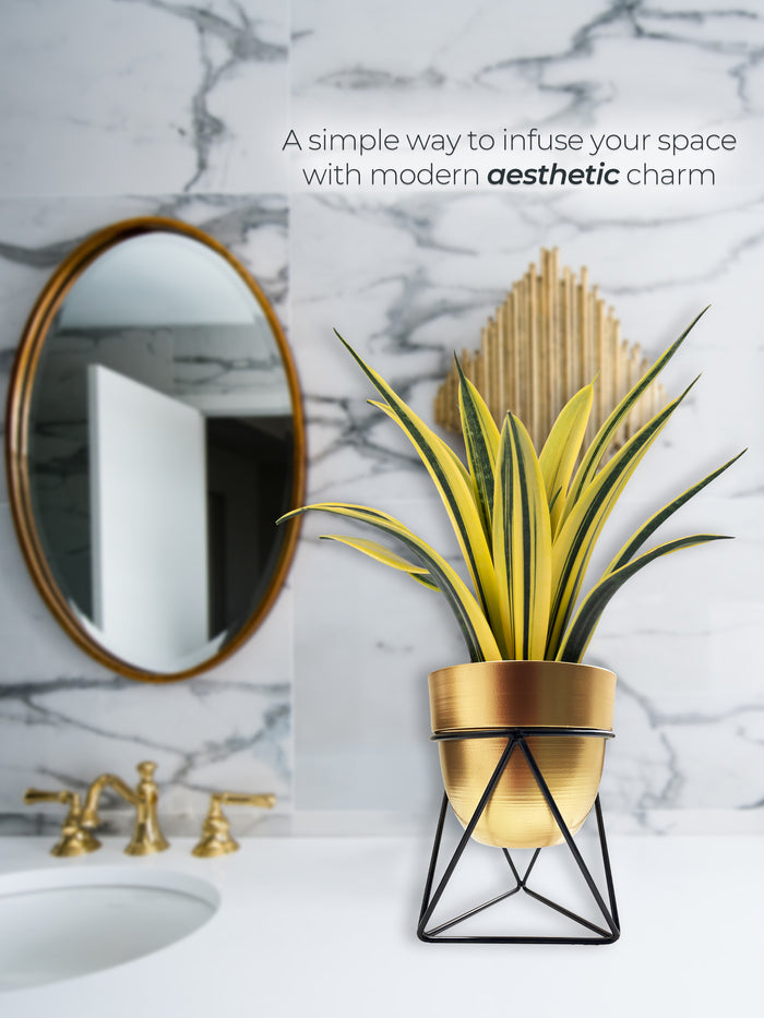 Buy Gold Metal Pot with Triangular Stand Online | Bombay Greens
