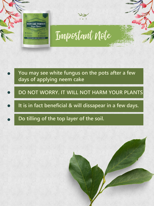 Buy Organic Neem Cake Powder - 900 Grams | Bombay Greens