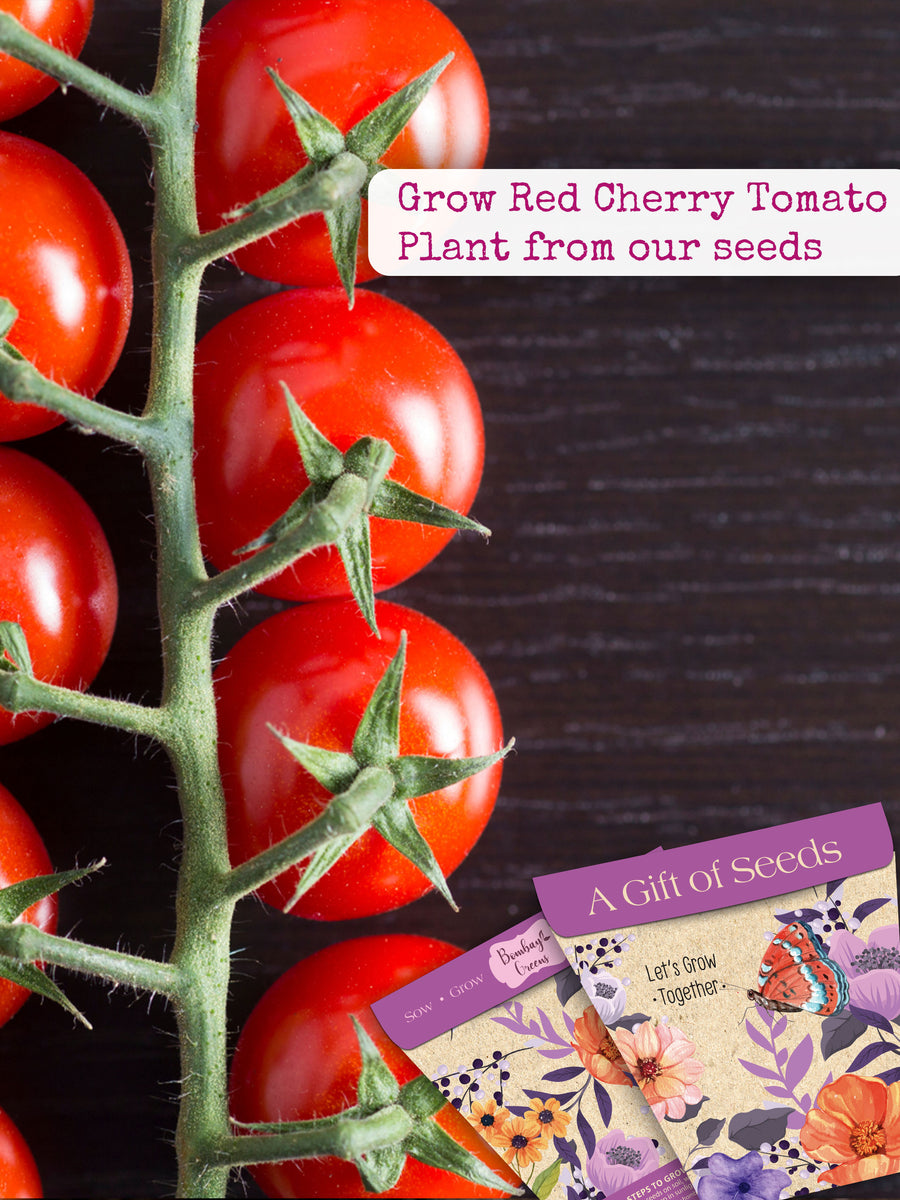 Red Cherry Tomato Seeds - Premium Cherry Tomato Seeds Online in India